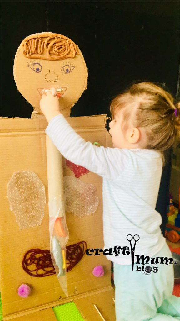 Human body project - Crafty Mum