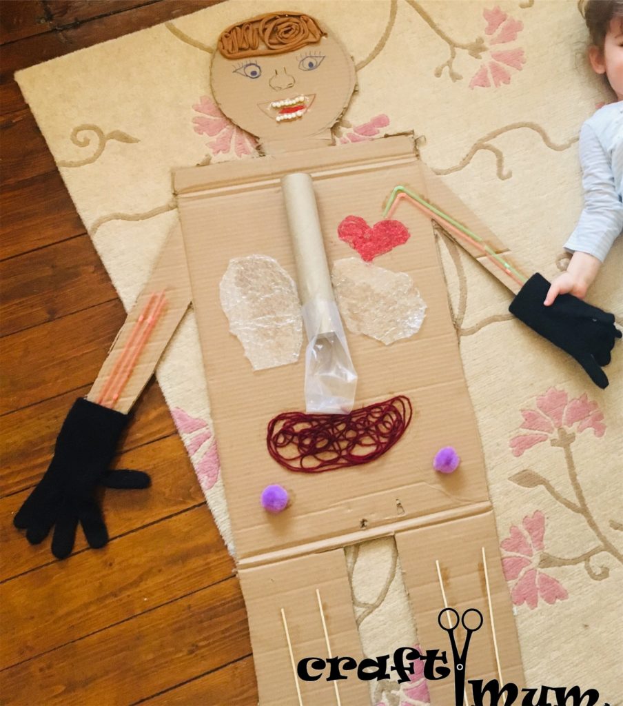 Human body project - Crafty Mum