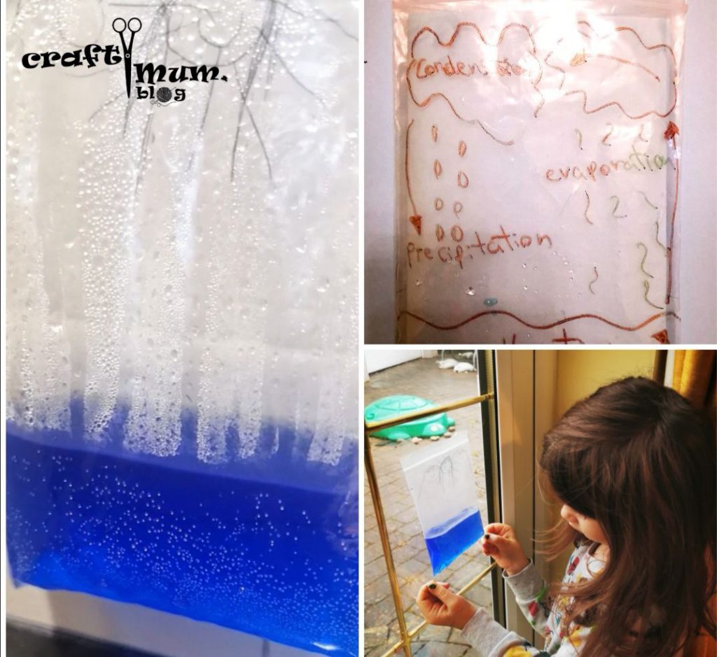 Water cycle in a bag - Crafty Mum