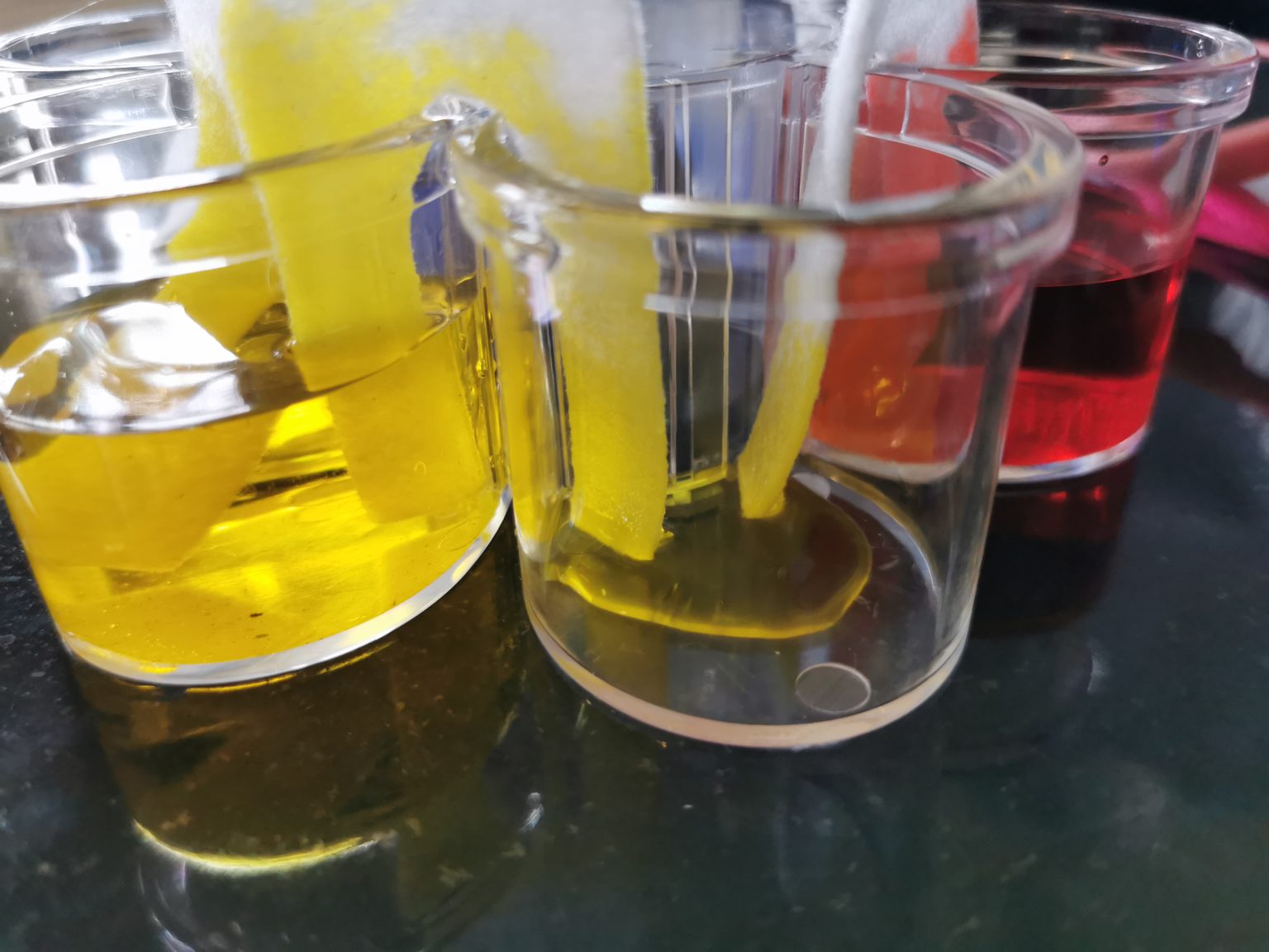 Travelling coloured water experiment - Crafty Mum